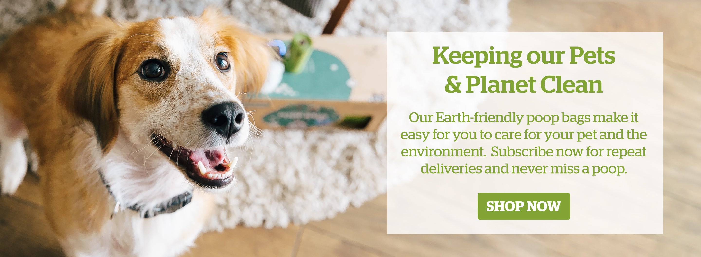 Pogi's Pet Supplies - All Products